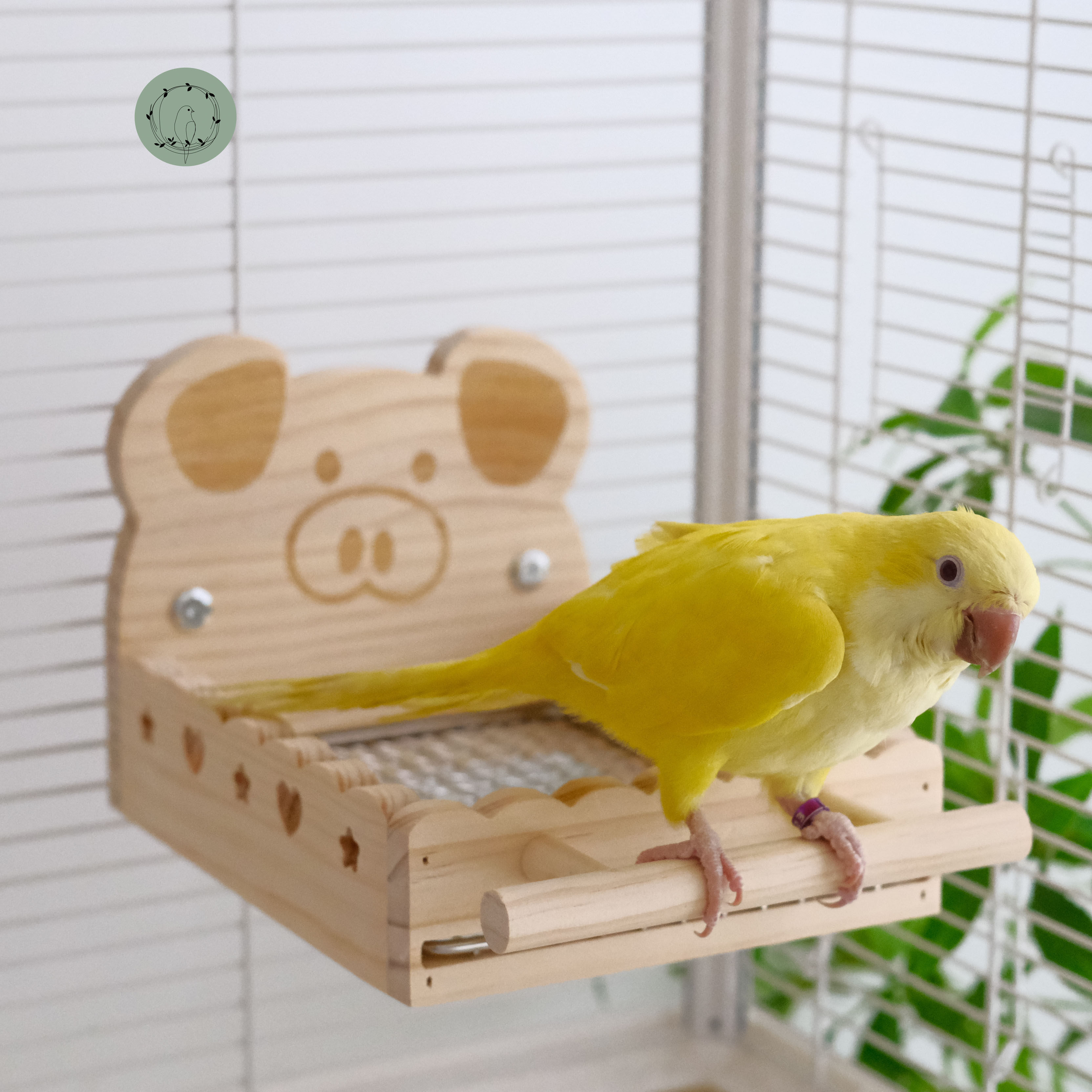 Parrot platform station rod solid wood bed: give your little parrot a ...