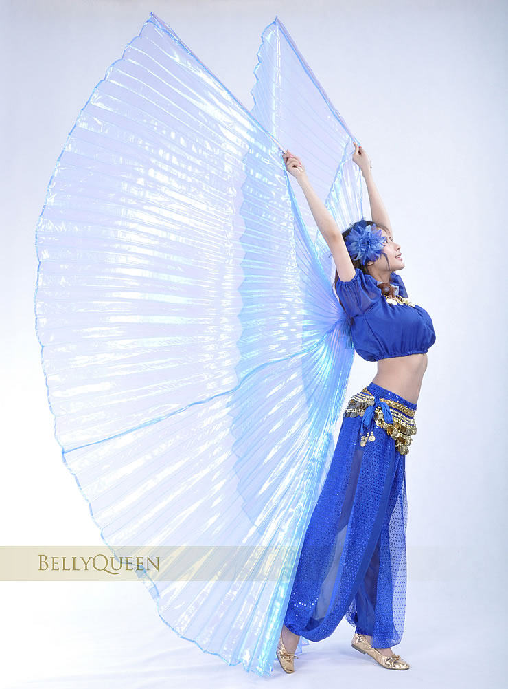 Belly dance wings: multi-colored accessories, handheld wings ...