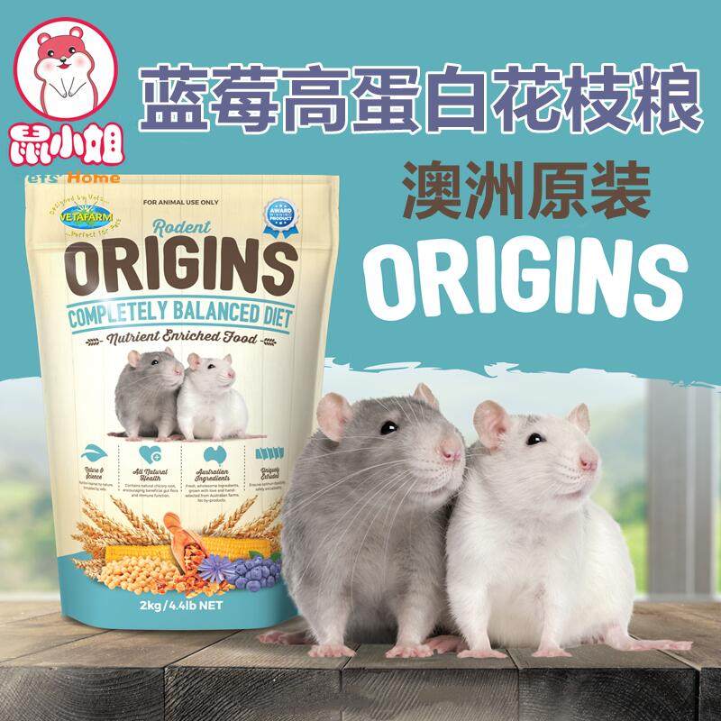 The darling of blueberry blossom food | Origins rat food helps your ...