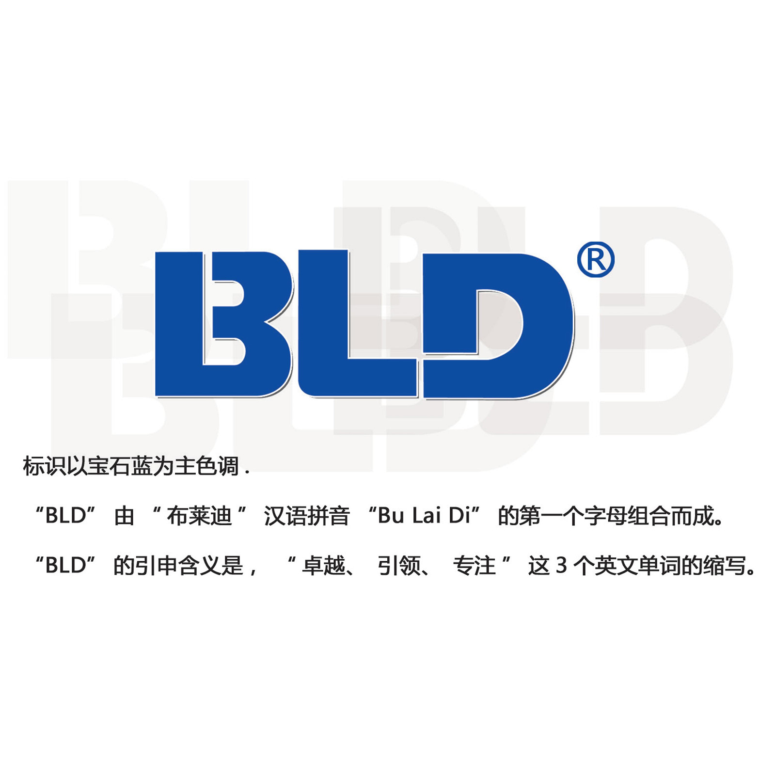 北京布莱迪仪器仪表有限公司企业店