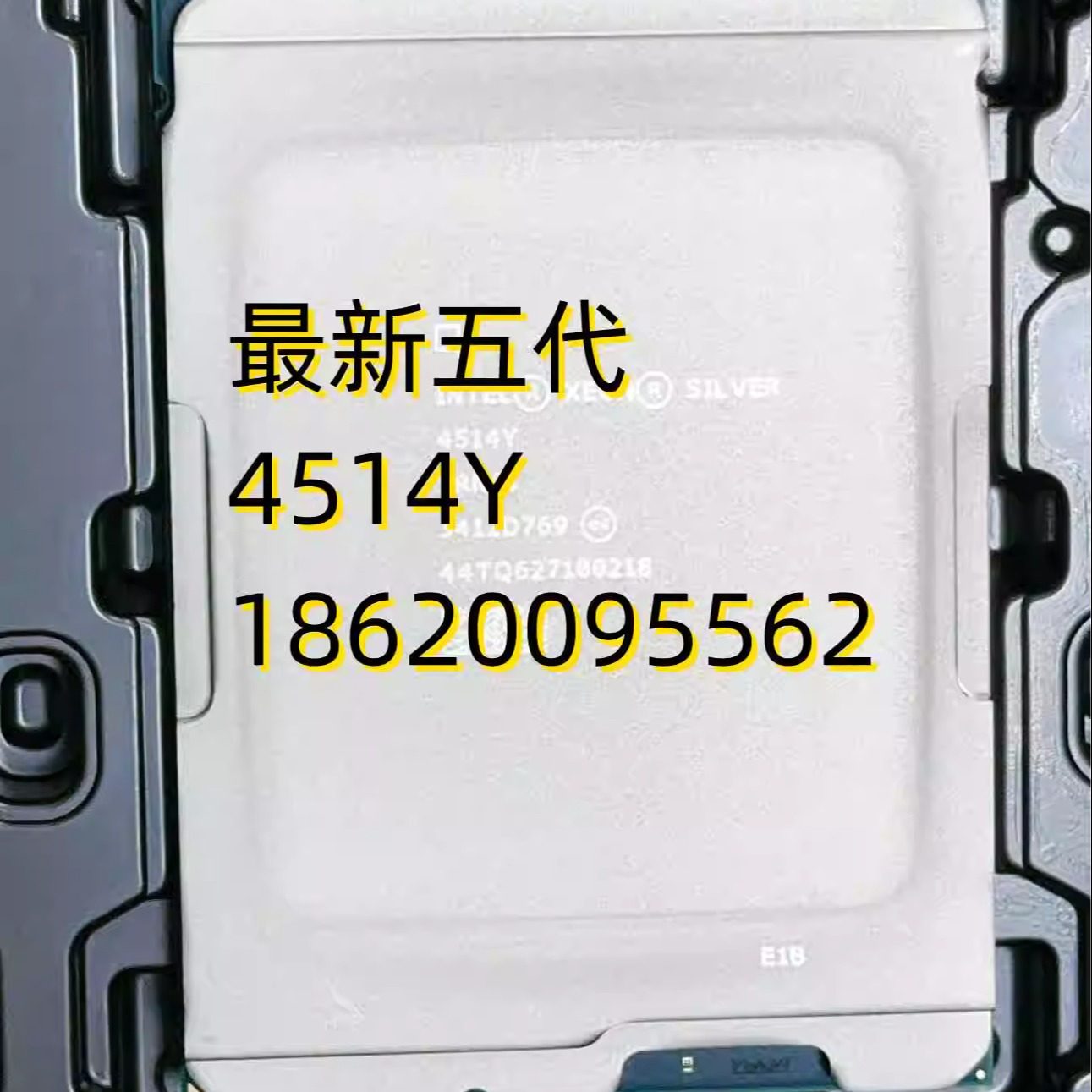 Intel XEON 4509Y/4510/4510T/4514Y/4516Y+/5512U/5515+/5520+