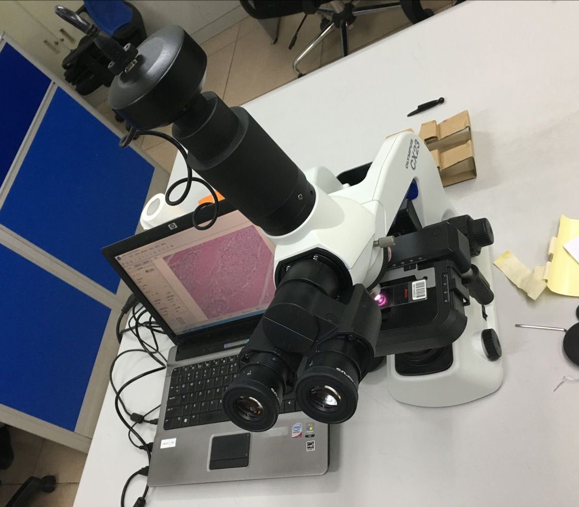 Olympus microscope Olympus microscope Olympus CX23 three microscope can ...