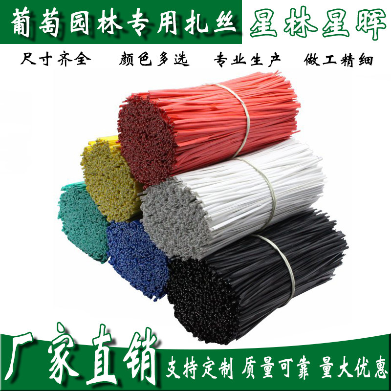 The secret weapon of gardening experts: grape tying wire to easily ...