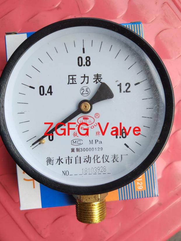 衡水市自动化仪表厂 压力1.0,1.6,2.5mpa 直径100mm Y-100铁头￥