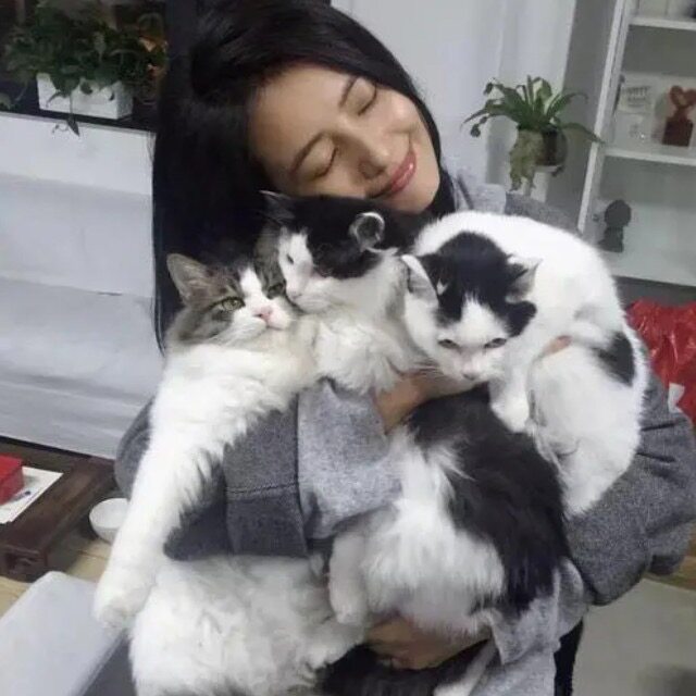宋瑾老师教育学考研考博