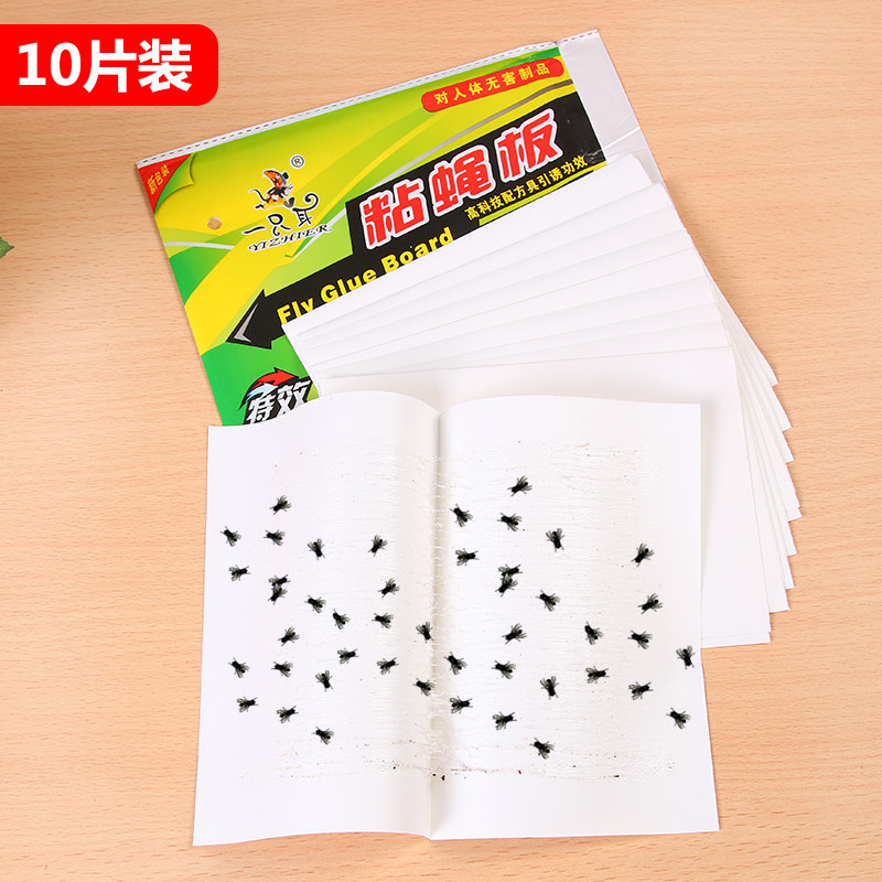Buy 10 pack series of household strong flies paste fly paper anti-fly ...