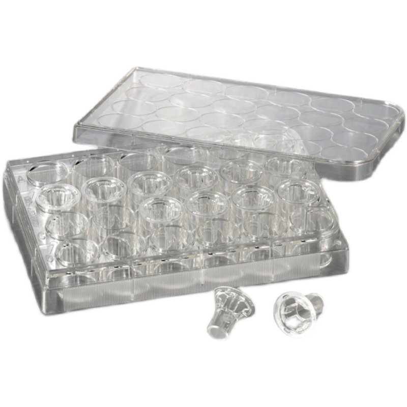 康宁Costar Transwell系列中的3401、3402、3412、3414、3415、3422、3460型号有什么区别？它们各自的应用 ...