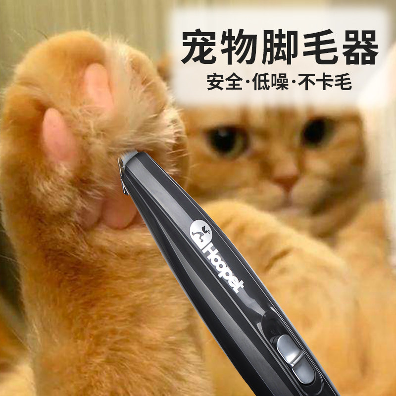 Kitty Shave Hair Instrumental Cat With Pedicure Fur Trim God ...