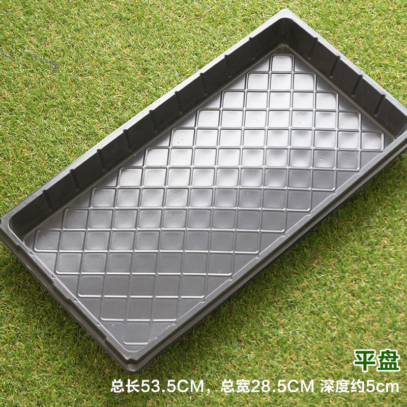 Seedling plate hole plate Seedling box Seedling wood fleshy seedling ...