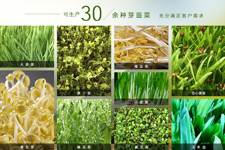 Large-scale commercial bean sprout machine peanut sprout machine sprout ...