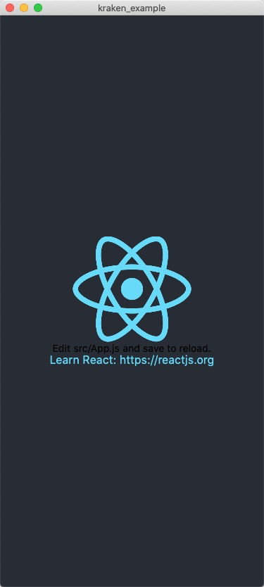 初始化一个 React 项目