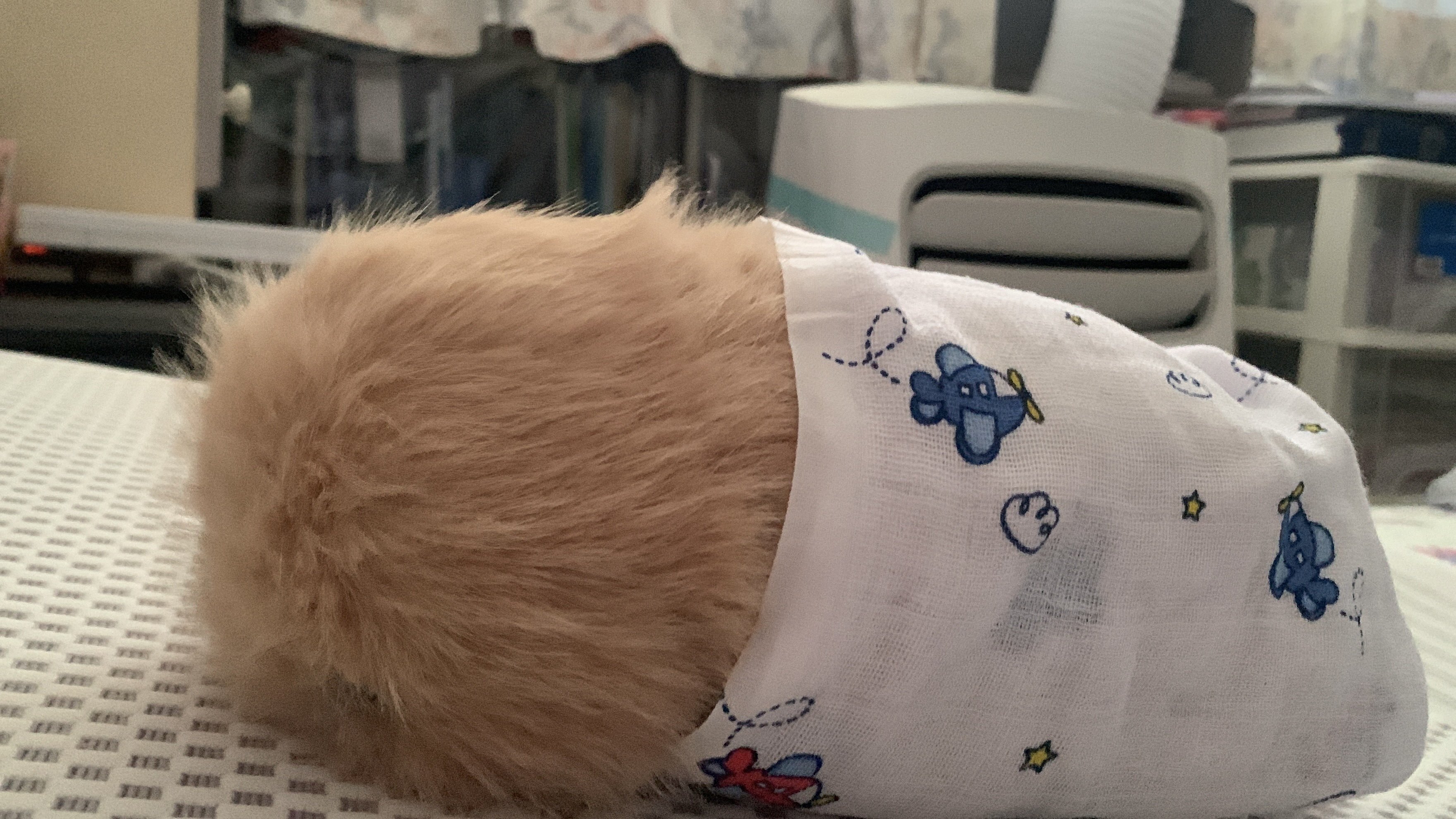 Cupboo咘咘智能宠物机器人AI毛绒机器宠物幼兽陪伴机器人生日礼物评价 - 淘宝网