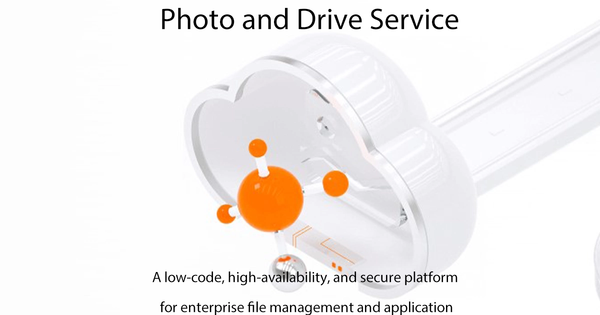 Drive and Photo Service