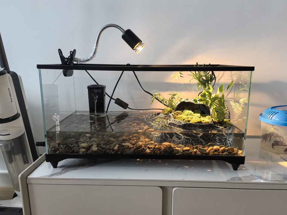 O1CN01QX4C7m1foKFNnwyvr_!!0-rate.jpg_960x960.jpg (236 KB,960*720)图片_水素材 ...