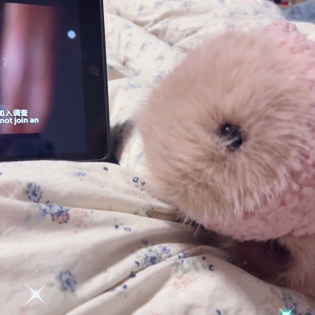 Cupboo咘咘智能宠物机器人皮毛需配合机器人使用 下单前请先咨询评价 - 淘宝网