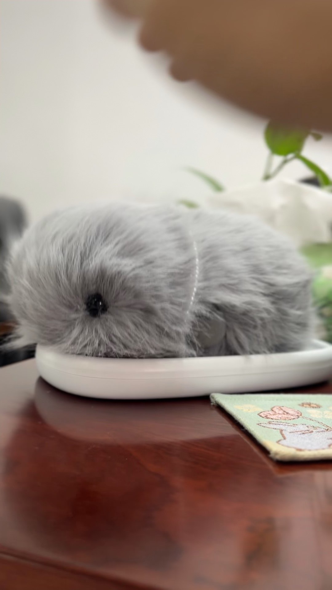 Cupboo咘咘智能宠物机器人AI毛绒机器宠物幼兽陪伴机器人生日礼物评价 - 淘宝网