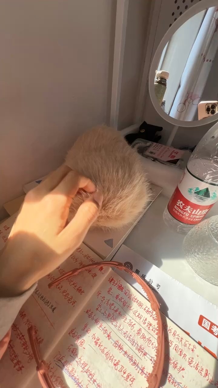 Cupboo咘咘智能宠物机器人AI毛绒机器宠物幼兽陪伴机器人生日礼物评价 - 淘宝网