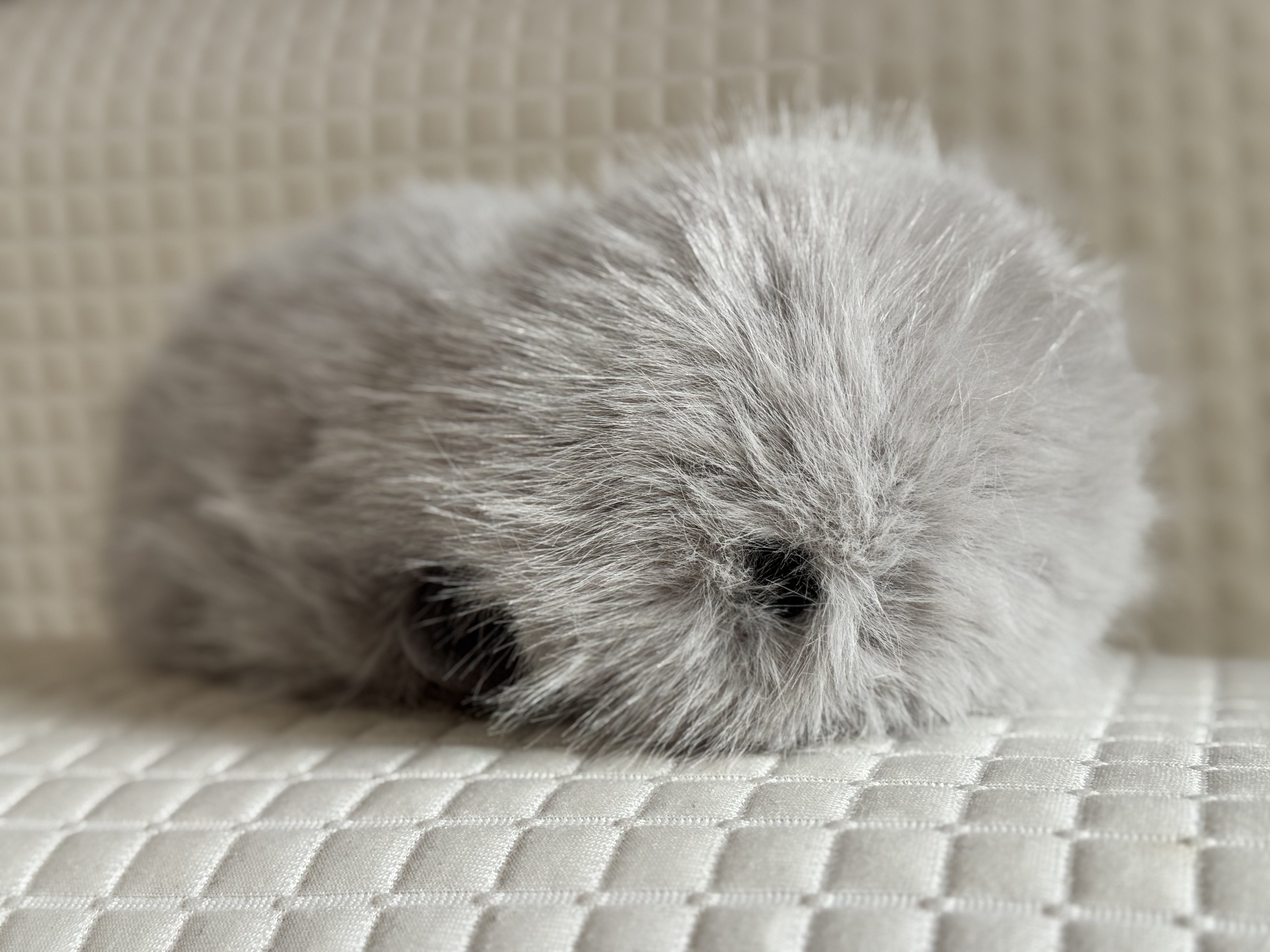 Cupboo咘咘智能宠物机器人AI毛绒机器宠物幼兽陪伴机器人生日礼物评价 - 淘宝网