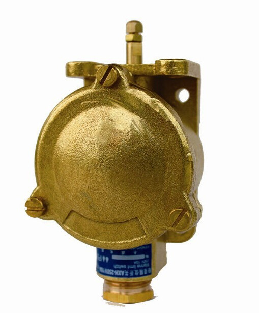 Marine limit switch Marine door switch AXH-250V 10A