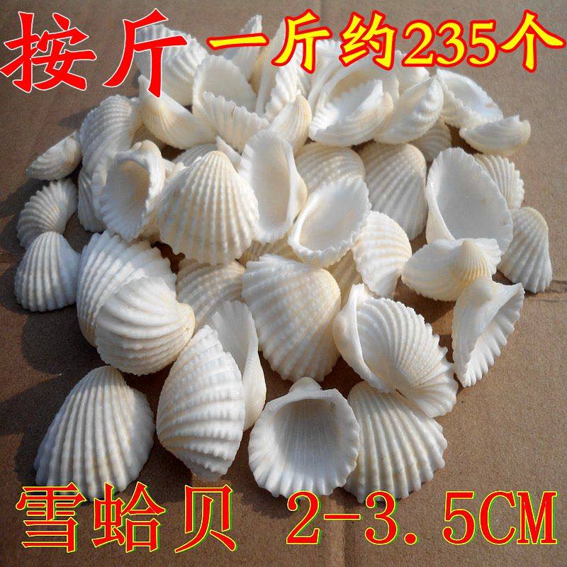 Купить Морская раковина diy Tony edge xh970 в интернет-магазине с ...