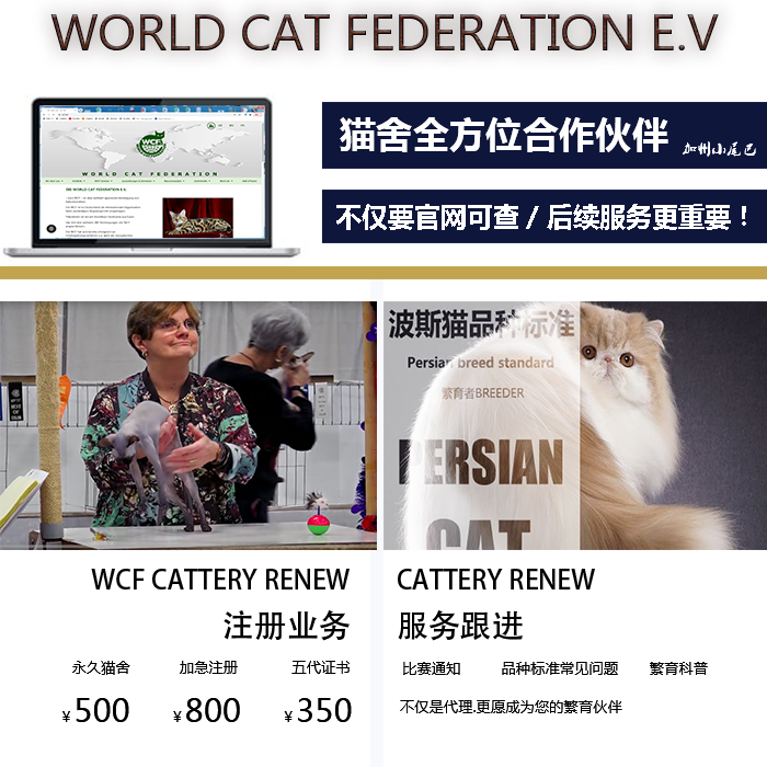 [USD 33.39] WCF Cat House Registration Registration Wcf Blood ...