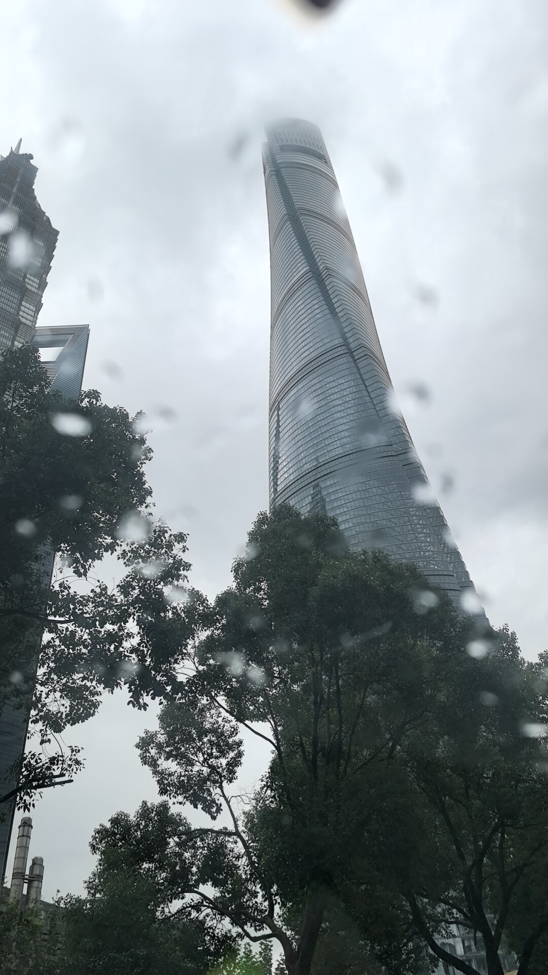 芒果派优选