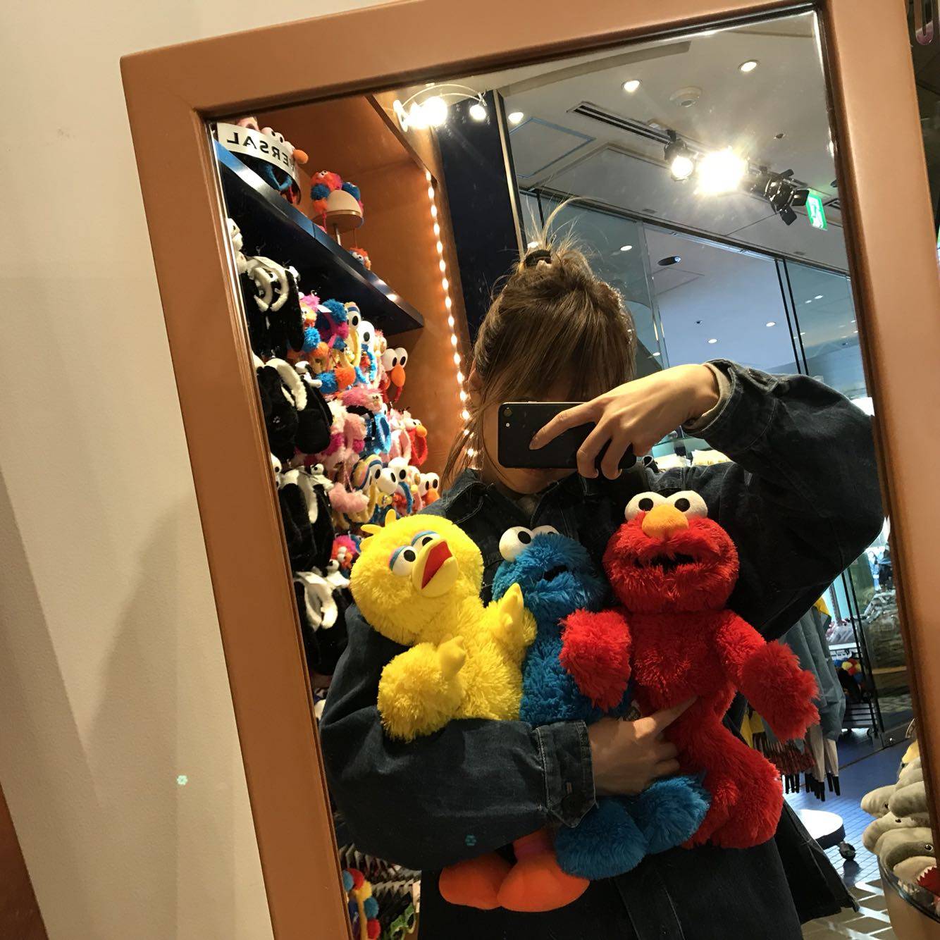 日本 USJ 环球影城 芝麻街 elmo 甜怪饼 big bird 大鸟 毛绒 公仔-Taobao