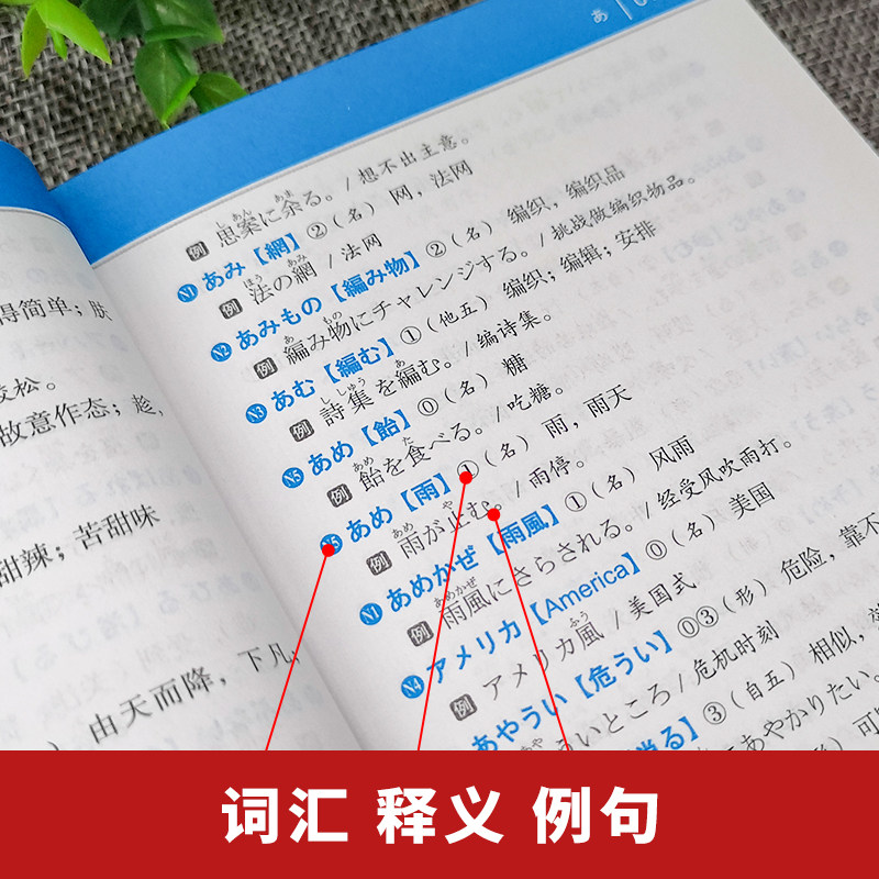 Japanese Red Blue Book n1-n5 Text Vocabulary Japanese Blue Book Red ...