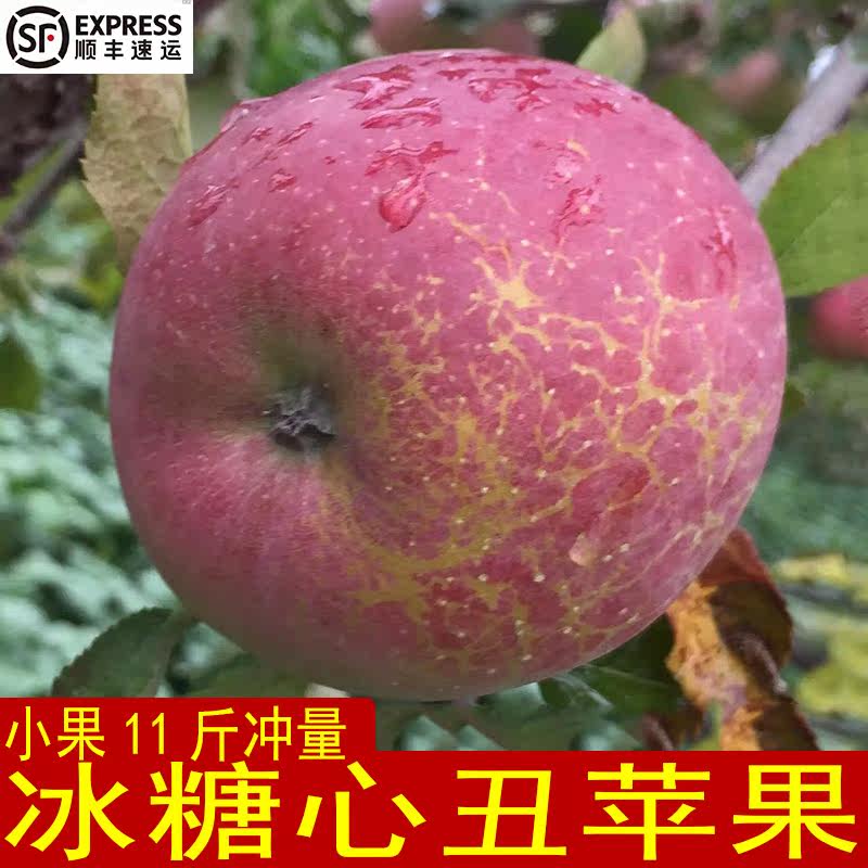 崔小二果园直发