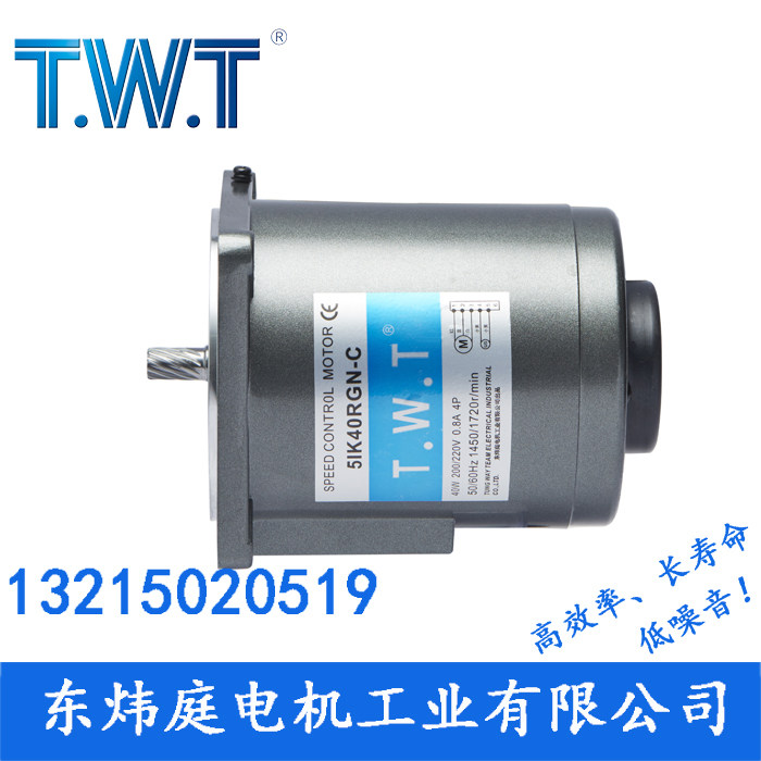 TWT motor 40W speed control motor 5IK40RGN-C 5RK40RGN-C Taiwan ...
