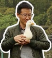 鸭小白柯尔鸭繁育基地 源头厂家