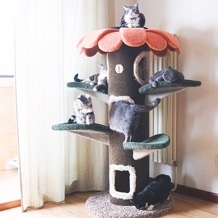 [USD 572.29] White Pig Shop Camily Cat Climbing Sunflower Cat Tree Cat ...