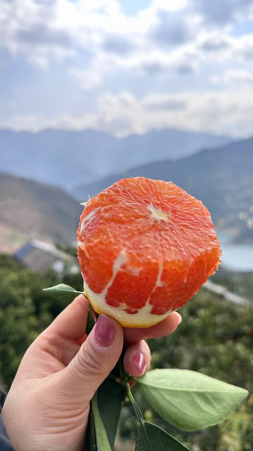 健之鲜优选