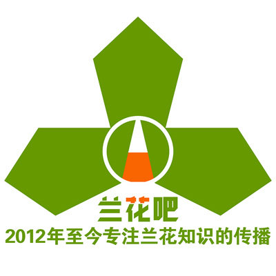 绿林香蕙