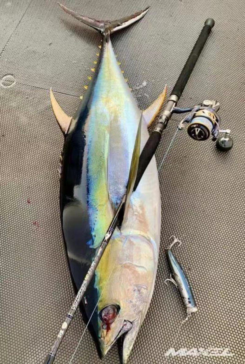 Maxel vortex rogue series: 🌊 Lightweight sea fishing tool, make every ...