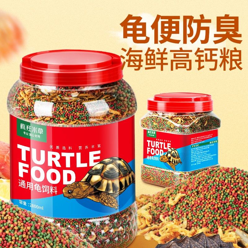Turtle food, what do your pet turtles like to eat? 🐟 In-depth ...