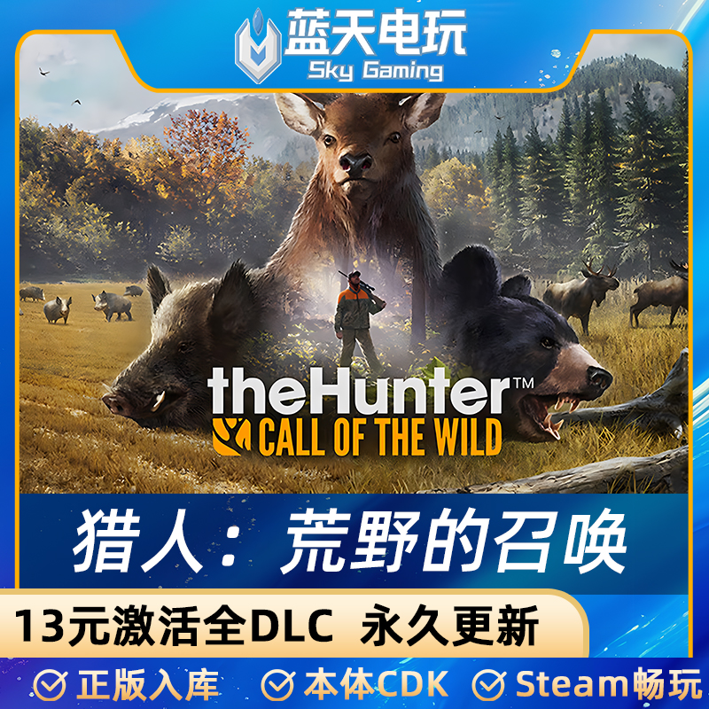 Steam正版国区CDK：解锁《猎人：荒野的召唤》完整体验_steam游戏_淘宝游戏网