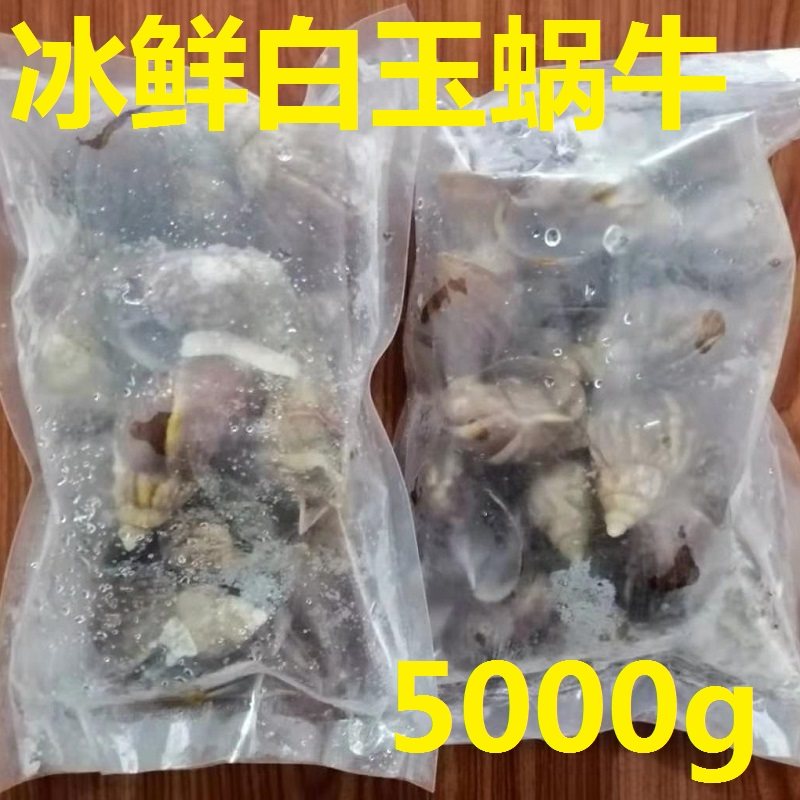 [USD 92.03] Frozen shelled white jade snail 10 kg frozen white jade ...