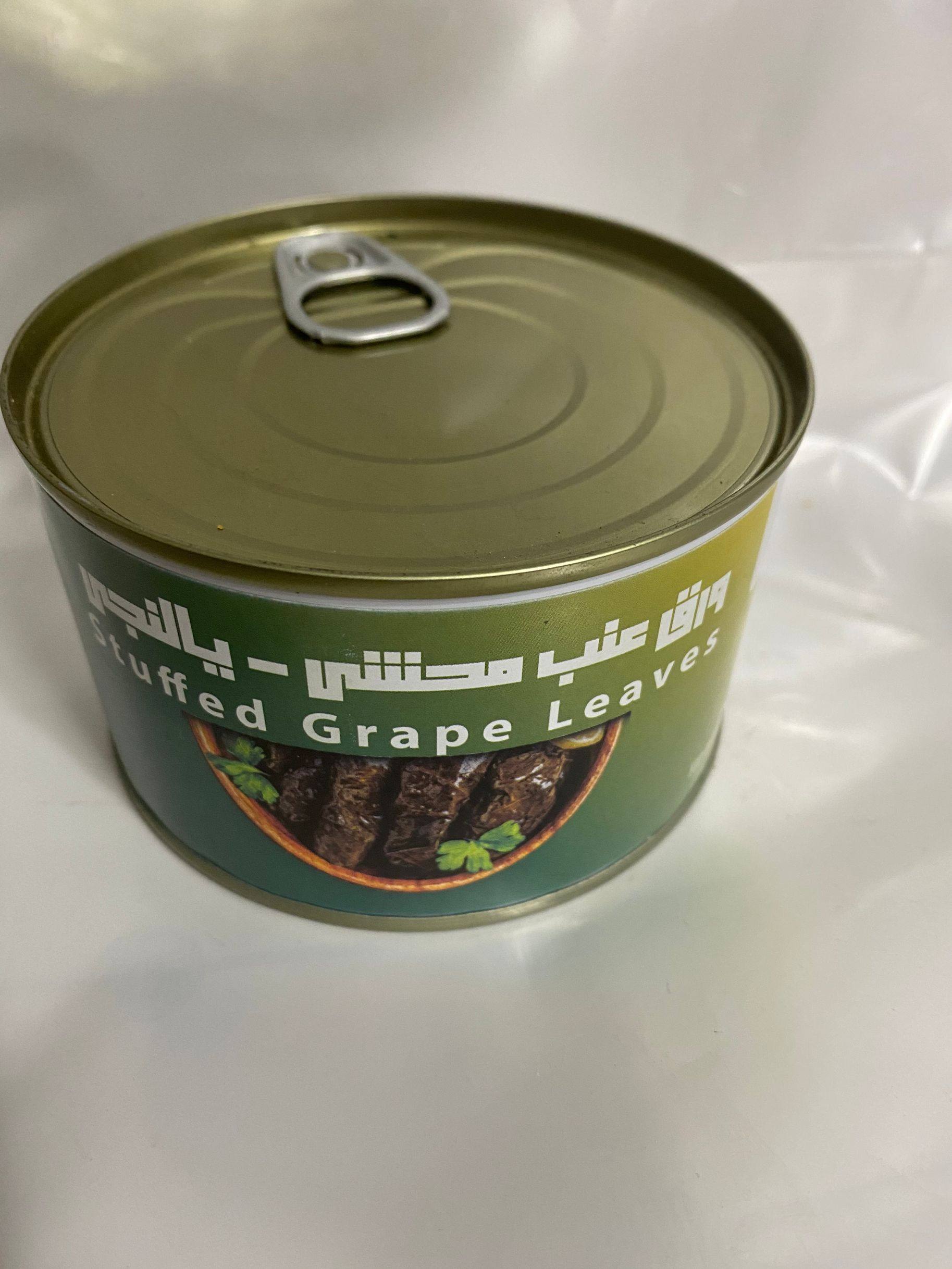 中东美食开箱！SORYANA葡萄叶卷饭测评💥原来阿拉伯版粽子这么上头？！-寿司料理-淘宝好物网