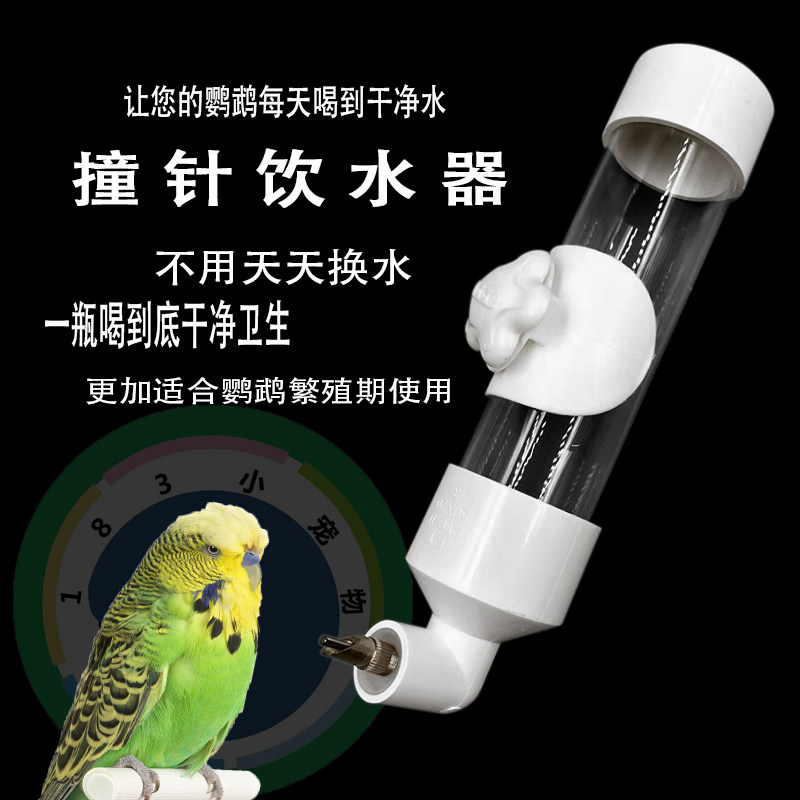 183 small pet parrot drinking fountain: the ultimate water dispenser ...