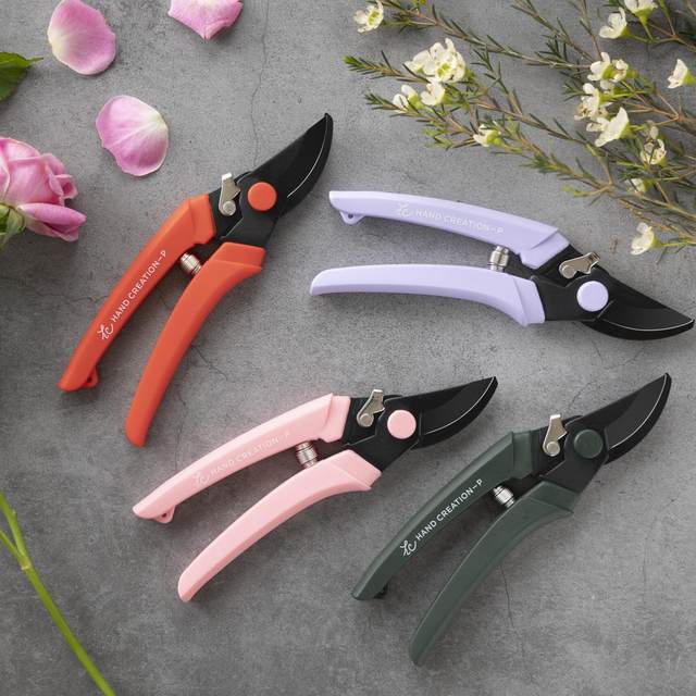 Japan imported Sakura scissors professional floral, cut, cut flower ...