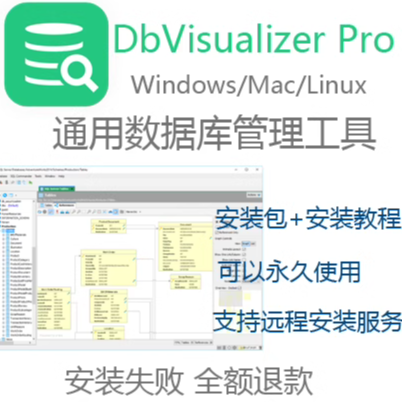 DbVisualizer Pro 25.3.2 Win/MacOSX/Linux数据库管理含视频