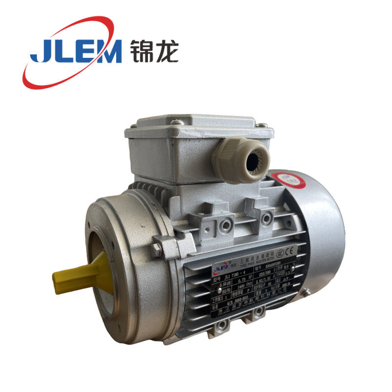 Zhejiang Jinlong JL 562-4 aluminum shell motor JL1 56M2-4 Jinlong motor ...