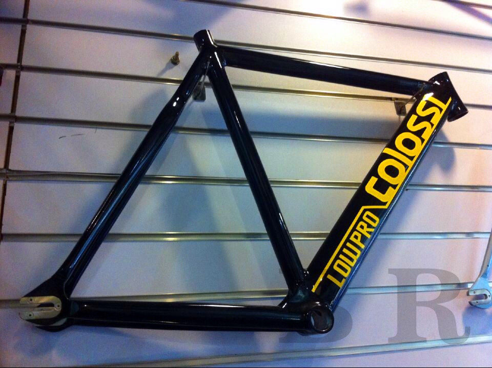 Netherlands Colossi LOW PRO Limited Limited Edition Venue Dead Fly Frame
