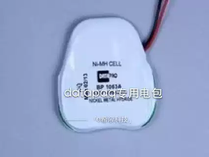 DATAPAQ測溫儀專用電池BP1024A雷爾達品牌測溫電池 工業測溫儀用Q18型號電池