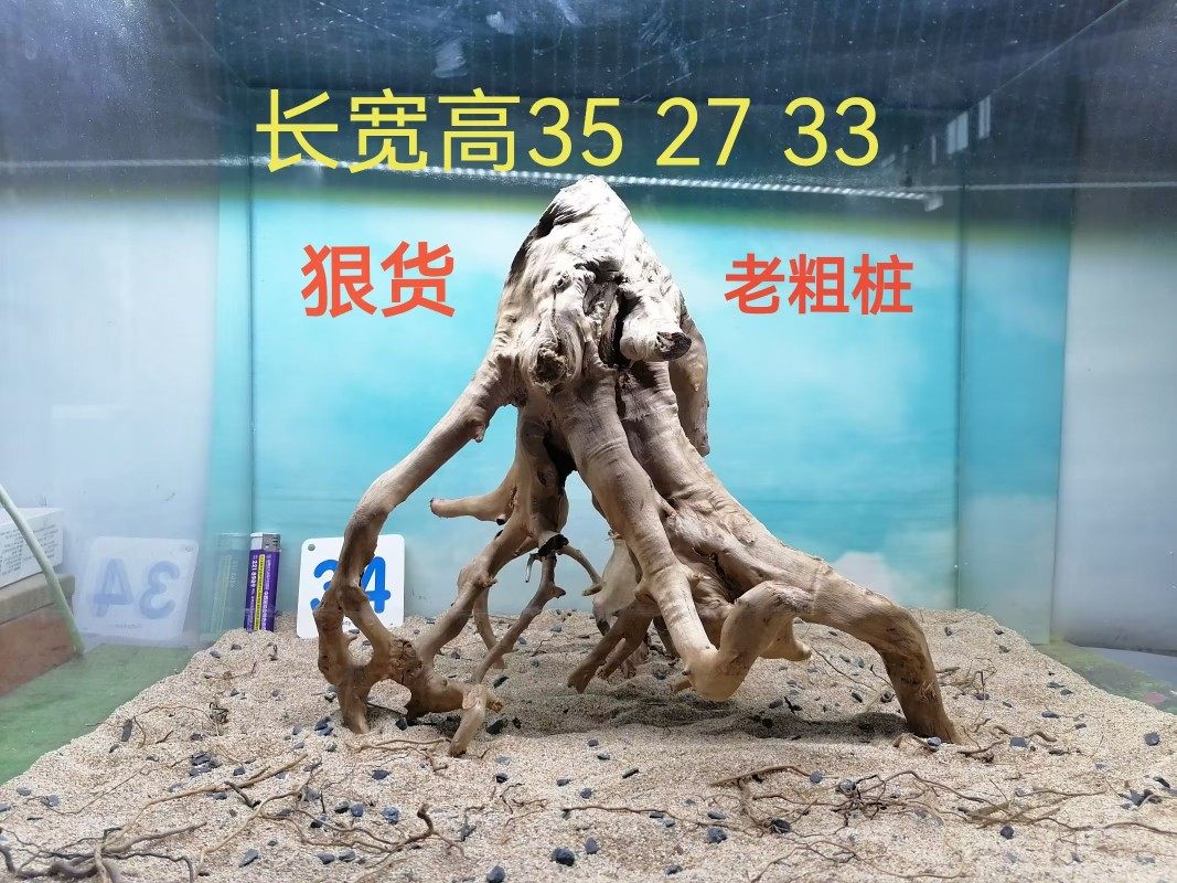 Azalea root grass tank landscaping and aquarium decoration: one tree ...