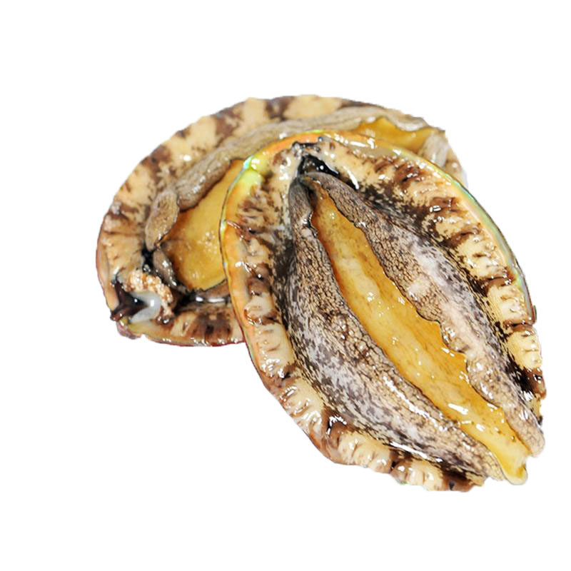 [USD 33.10] Dalian Seafood Festival Gift Bag Abalone Gift Box Wild ...