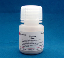 诺维信脂肪酶Lipozyme RM IM