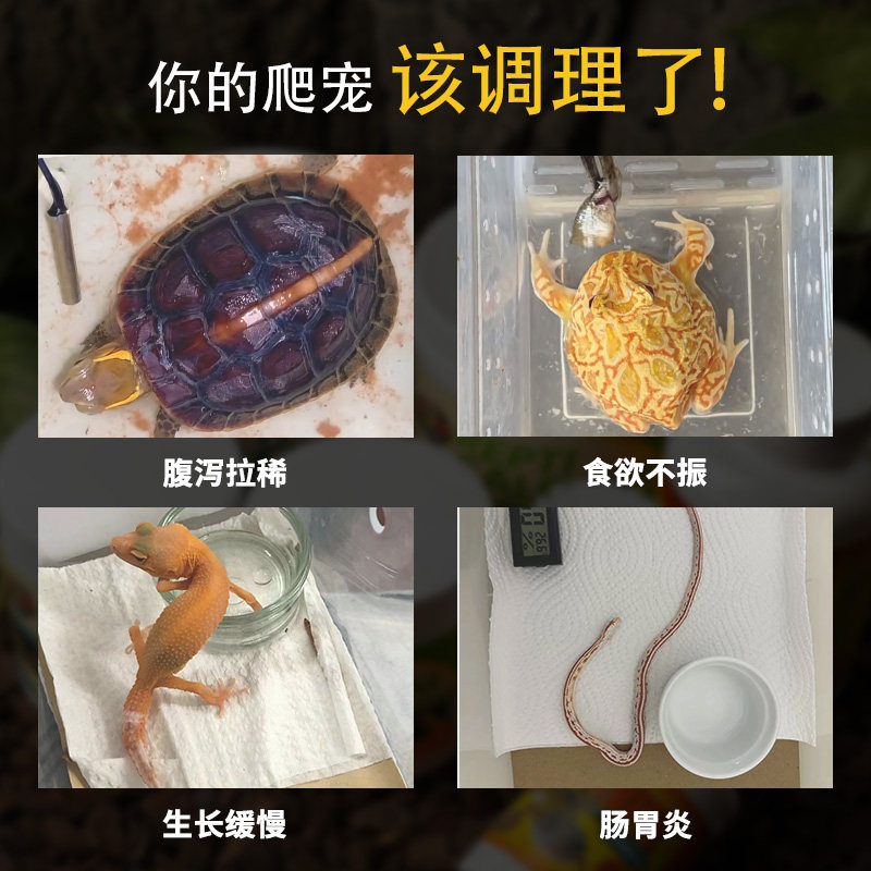 25年必买！Nutri BAC益生菌救活拒食豹纹守宫，拉稀腹泻克星种草-其他益生菌-淘宝好物网