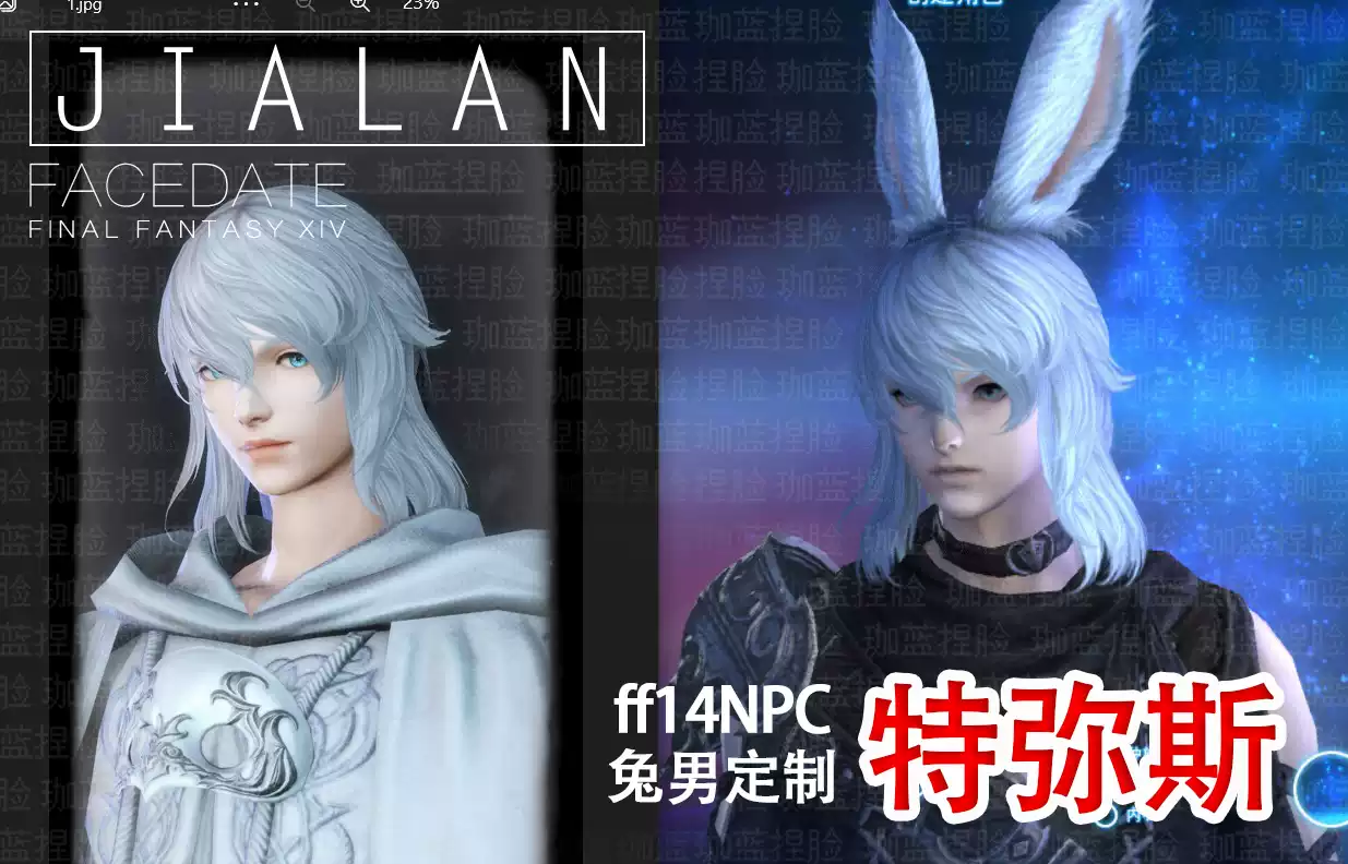 【珈蓝】最终幻想14 ff14捏脸数据 -特弥斯NPC-兔男 近似脸型定制
